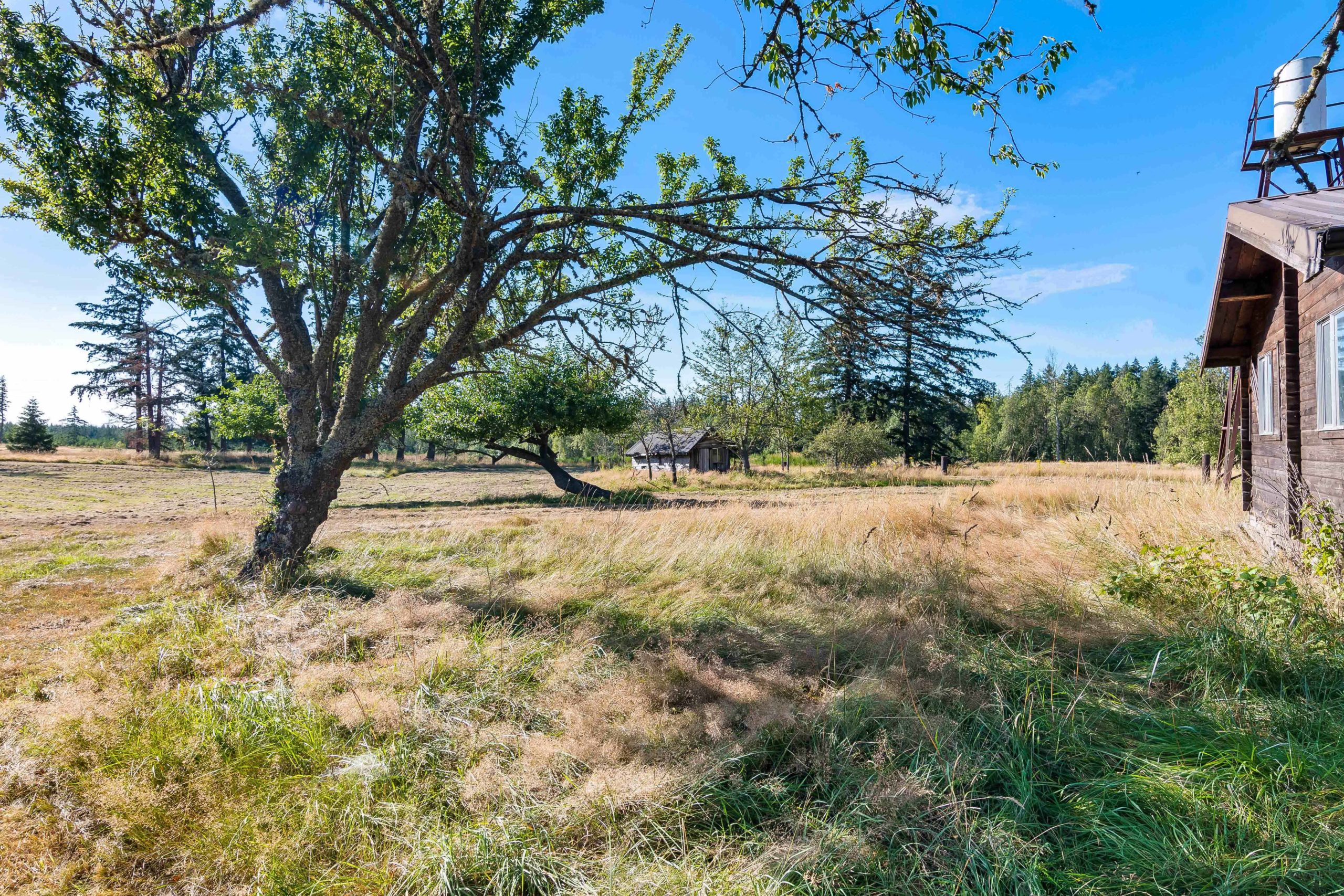 Mossy Rock Ranch | Make Your Dreams Your Reality